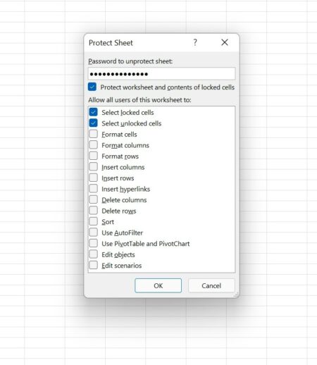 Protect Worksheet in Excel | Shortcut + Examples