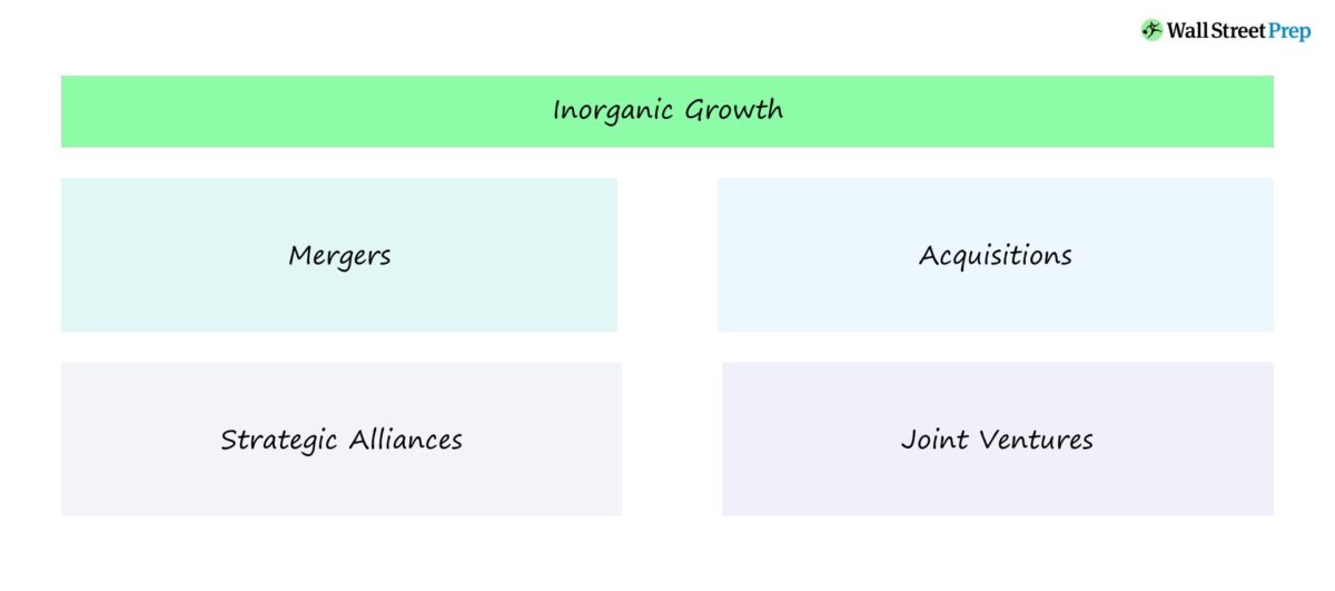 Inorganic Growth | Definition + Examples