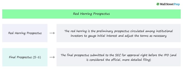 Red Herring Prospectus | Preliminary IPO Filing + Example