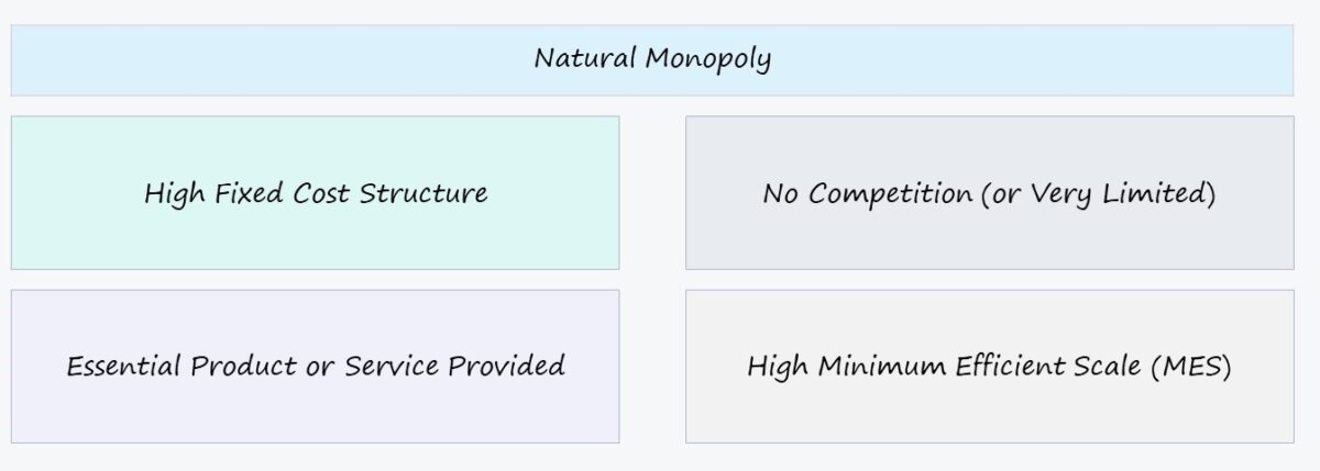 Natural Monopoly | Economics Definition + Examples