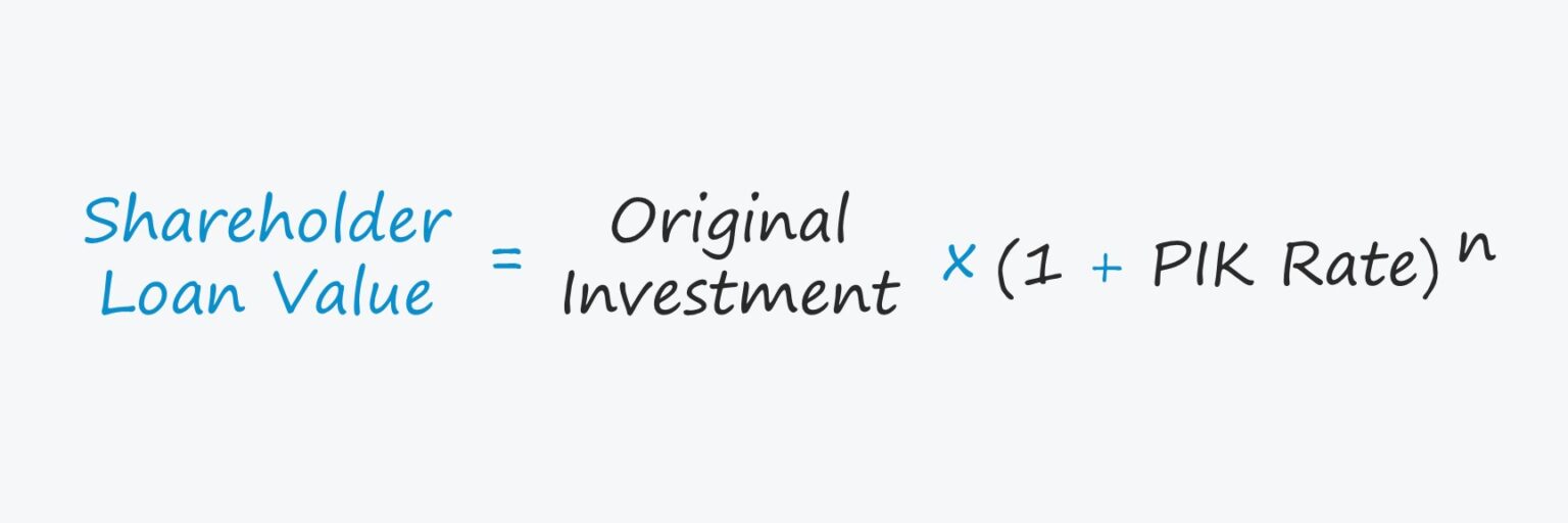 Shareholder Loan | Financing Definition + Examples