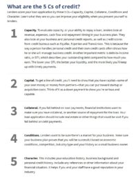 5 Cs of Credit | Lending Risk Analysis Framework