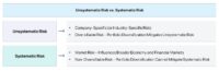 Unsystematic Risk | Definition + Examples