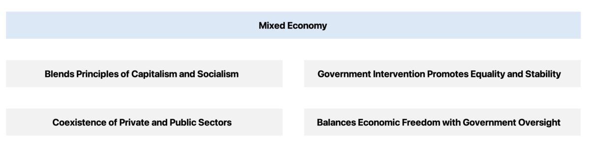 Mixed Economy | Definition + Examples