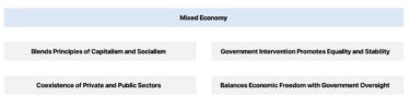 Mixed Economy | Definition + Examples