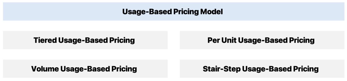 Usage-Based Pricing (UBP) | Strategy Definition + Examples