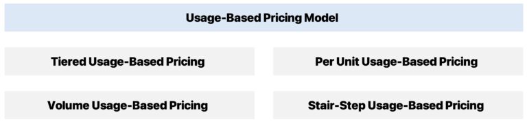 Usage-Based Pricing (UBP) | Strategy Definition + Examples