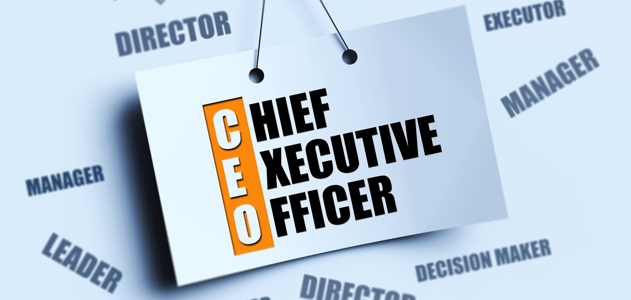 CEO Meaning: A Comprehensive Overview | Wall Street Prep